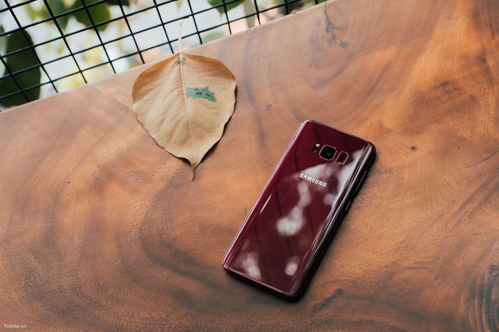 Halo Mobile - Hệ thống Bán lẻ điện thoại uy tín nhất Hải Phòng